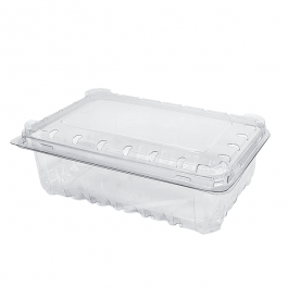 DPS Chile | CLAM SHELL RECTANGULAR 540 GR (1X480)